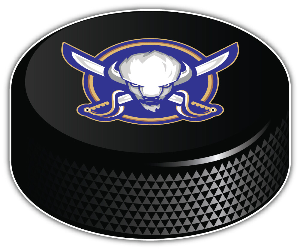 Buffalo Sabres NHL Hockey Sport Logo Car Bumper Sticker Decal "SIZES ...