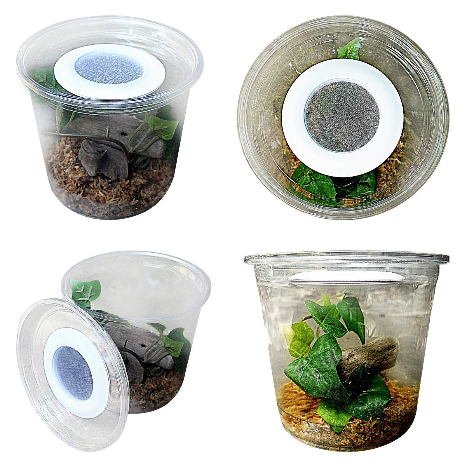 Any advice for these nymph enclosures i made for my friend? : r/mantids