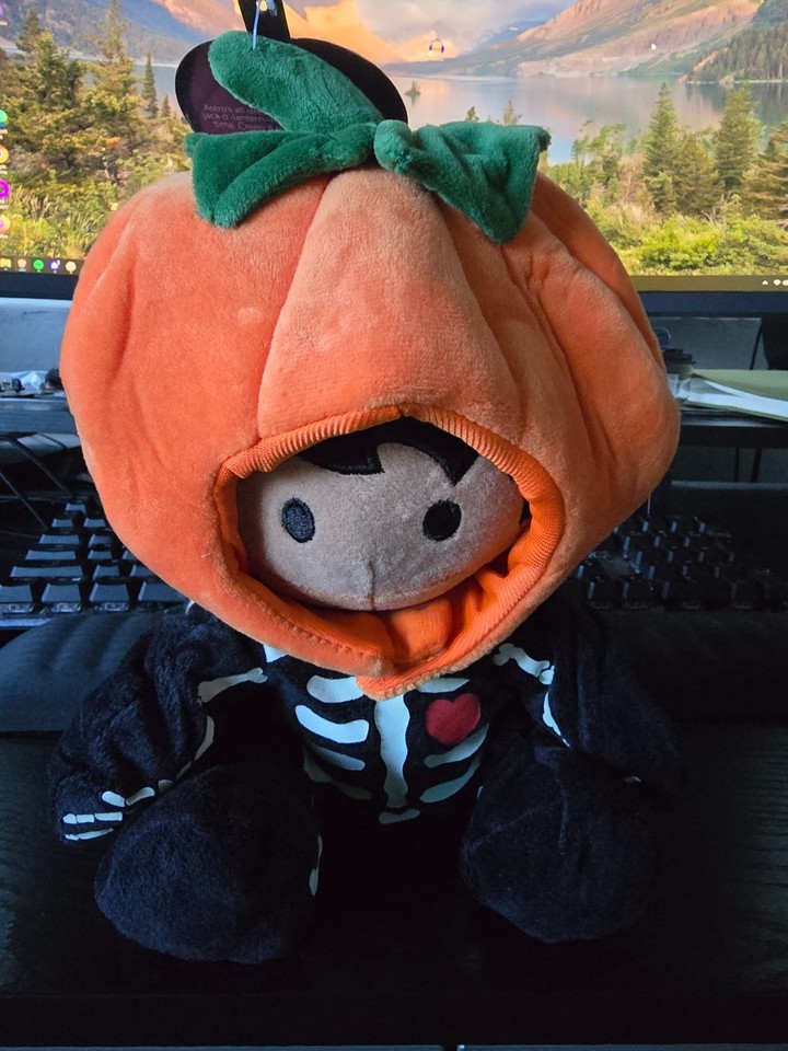 Salesforce Pumpkin Astro Plush 10" Halloween special - Dreamforce | eBay
