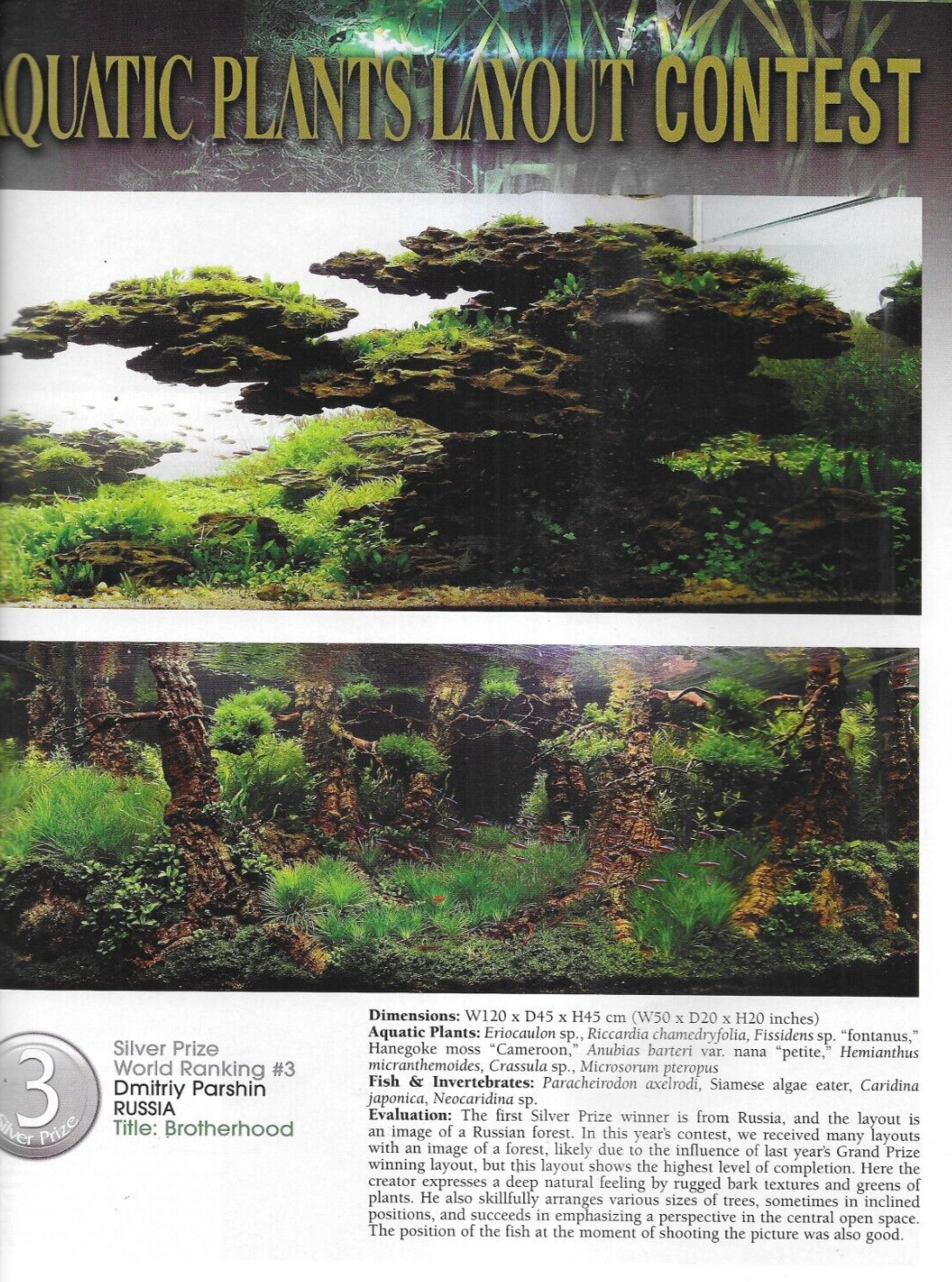 Tropical Fish Magazine World's Most Amazing Tanks Angelfish Gouramis ...
