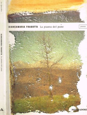 La pianta del pane. . Frabotta Biancamaria. 2003. IED. 9788804512820 | eBay