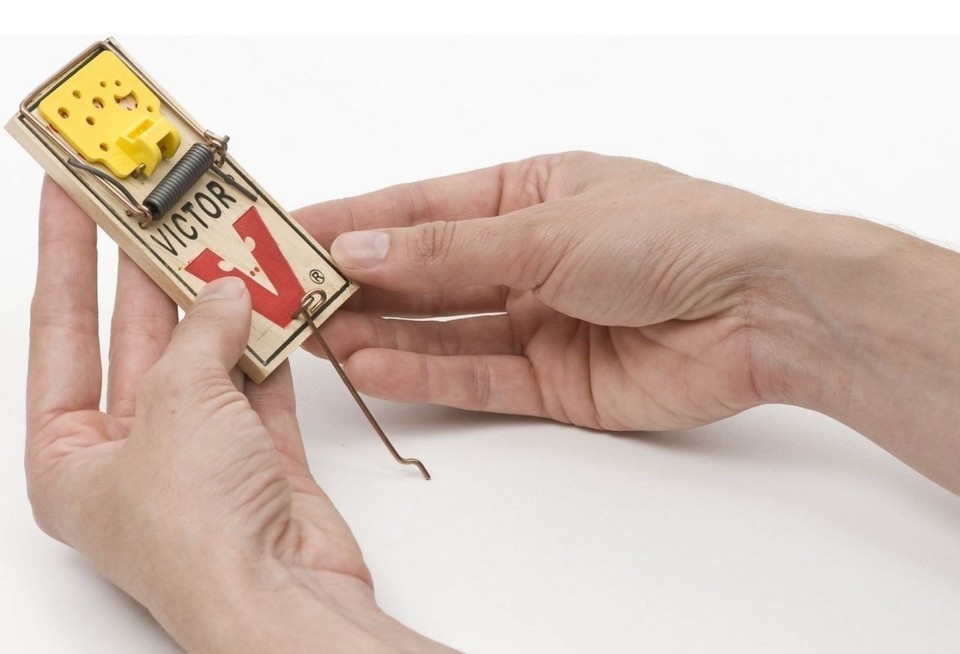 Victor Easy Set Wood/Plastic Mouse Trap (4-Count) | eBay