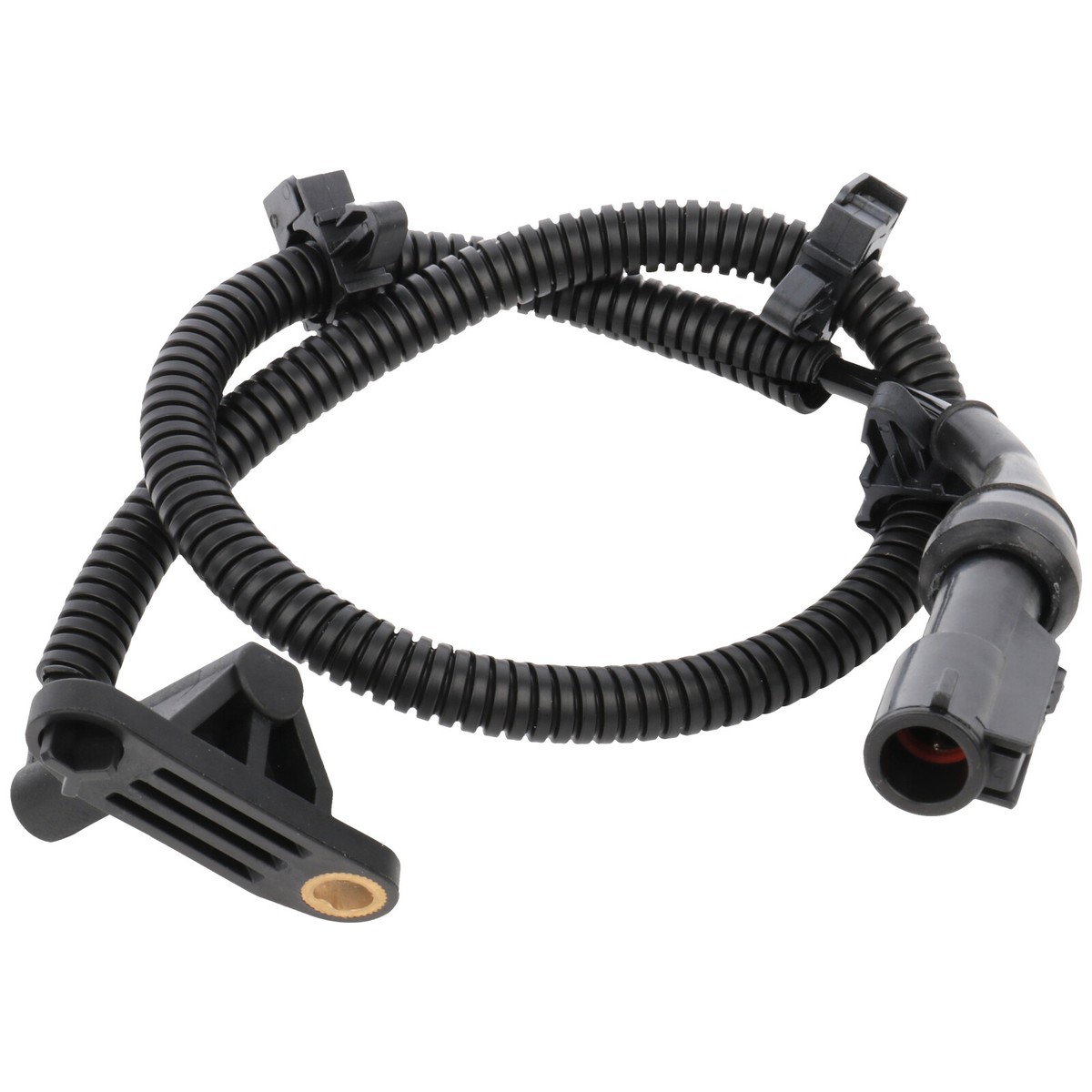 Bad Ford Explorer Output Speed Sensors 2024 Ford Explorer XLT RWD SUV
