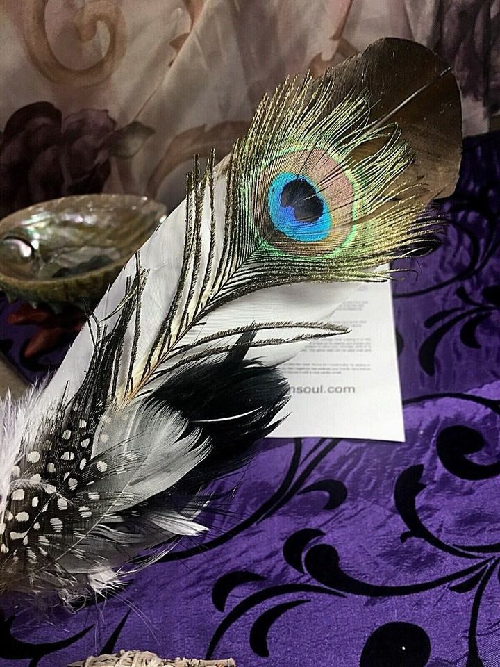 DELUXE SMUDGE KIT ABALONE SHELL STAND SAND SAGE FEATHER CLEANSING ...