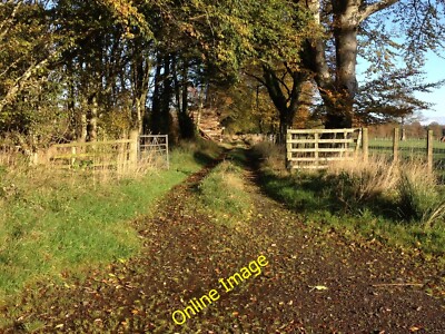 Photo 6x4 Farm track at Kerse Courance c2013 | eBay UK