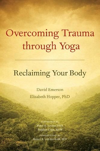 Elizabeth Hopper David Emer Overcoming Trauma through Y (Paperback) (US ...