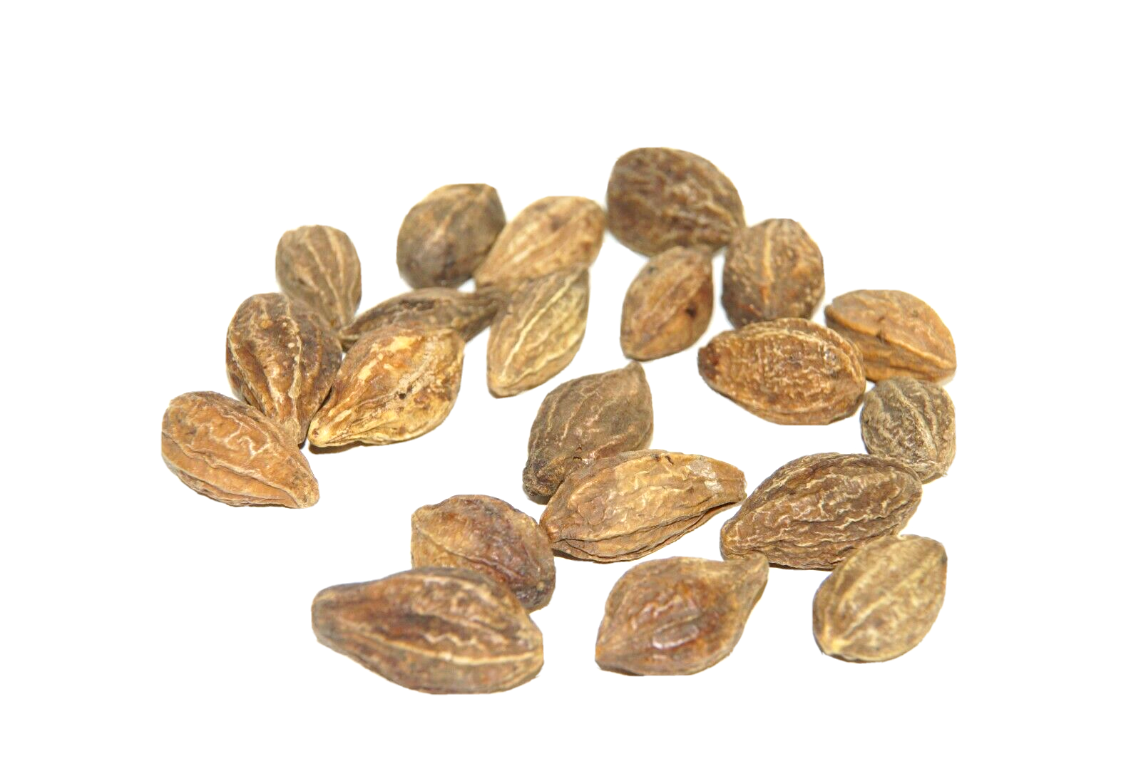 Kadukkai Whole 200gm / Haritaki / Terminalia Chebula / Harad Whole Best ...