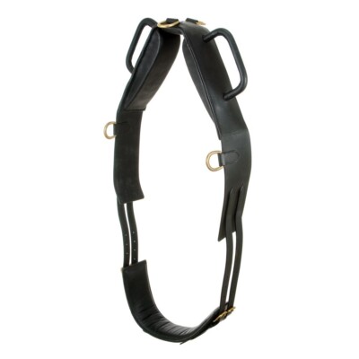 Horse Trick Riding and Healing Therapy Riding Vaulting Surcingle | eBay