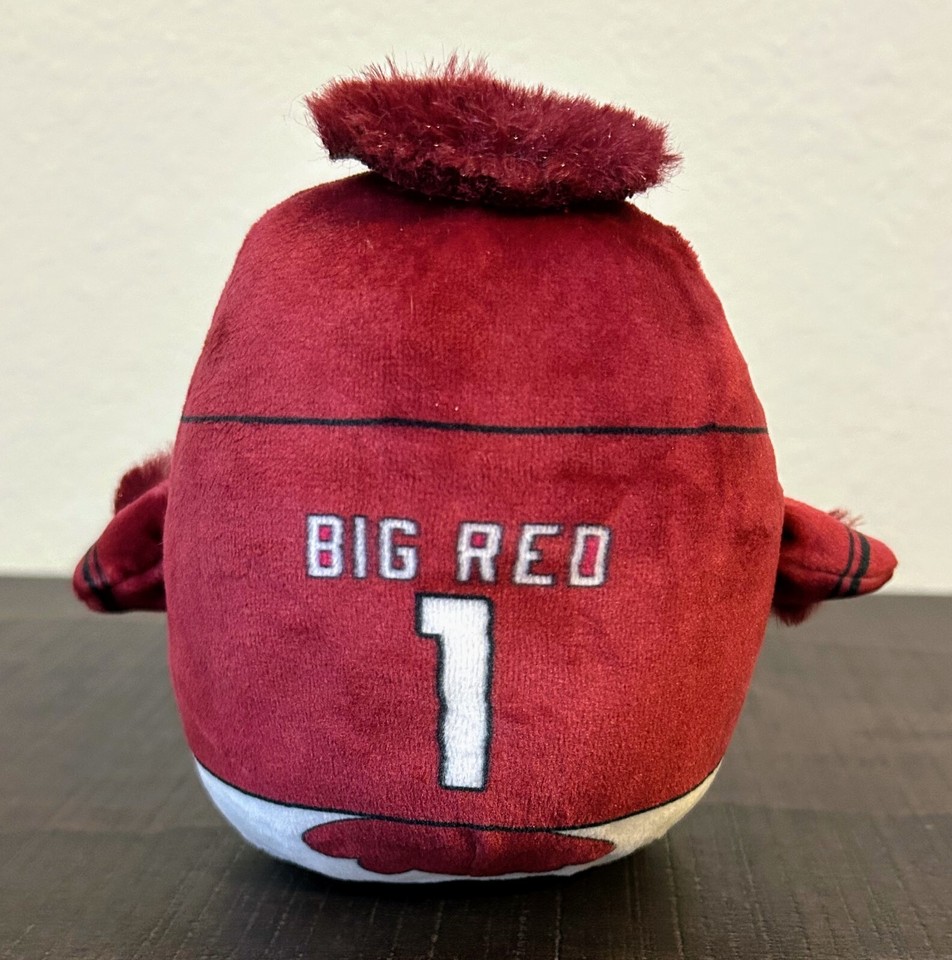 Arizona Cardinals Big Red plushie. Purchased at Arizona Cardinals game ...