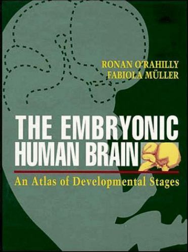 Embryonic Human Brain : An Atlas of Developmental Stages by Fabiola ...