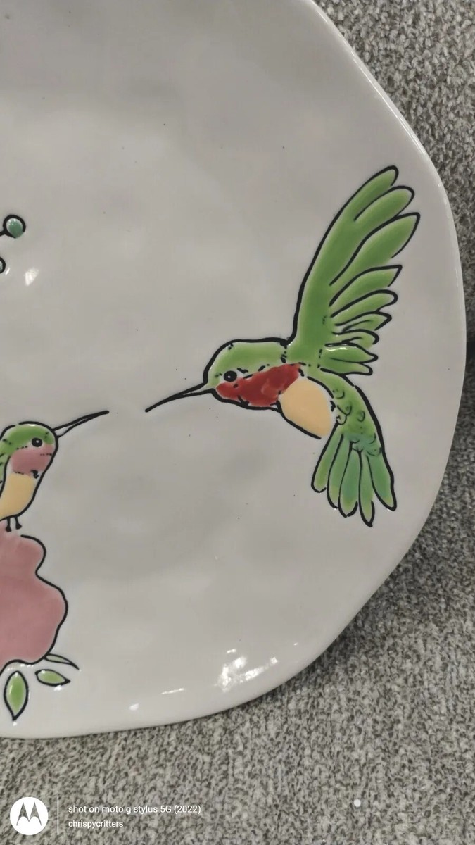 Curious Hummingbird Desktop How To Photograph Hummingbirds In The Wild