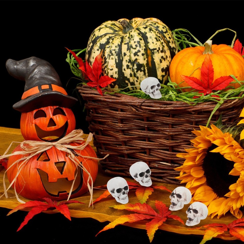 8pcs Realistic Skull Model Small Skull Head Model Skull Model Prop for ...