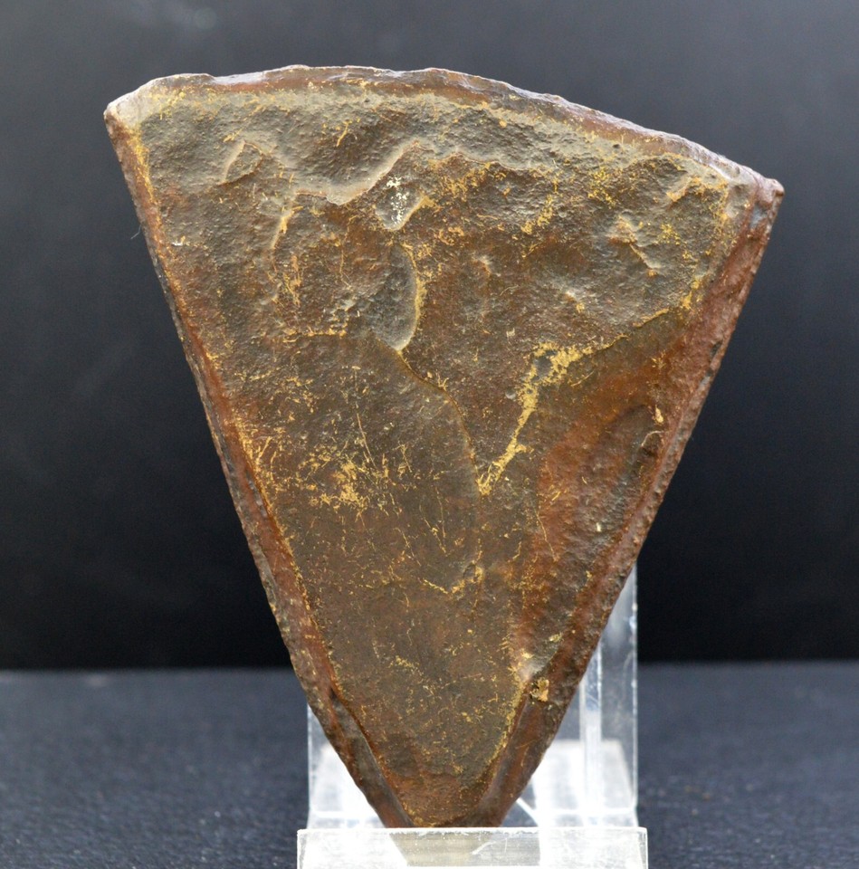 Tsesite 239 Gramm - Sahara, Algerie | eBay