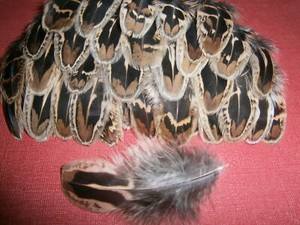 100 Hen Pheasant Shoulder Feathers 2" - 3.5" - Crafting feathers | eBay