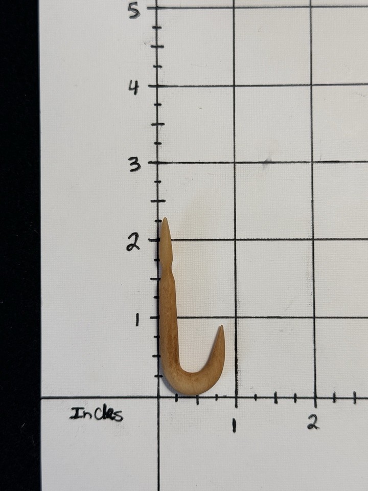 Authentic Native American Bone Fishhook From Dubuque Co. Iowa Arrowhead ...