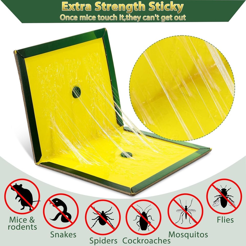 Qualirey 36 Pcs Large Mouse Traps Bulk Adhesive Rat Sticky Glue Traps ...