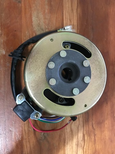 2 Coil Ignition Magneto Stator Flywheel Rotor Kit 50- 125cc Engine Bike ...