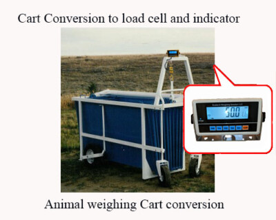 Animal Health & Veterinary - Veterinary Scale
