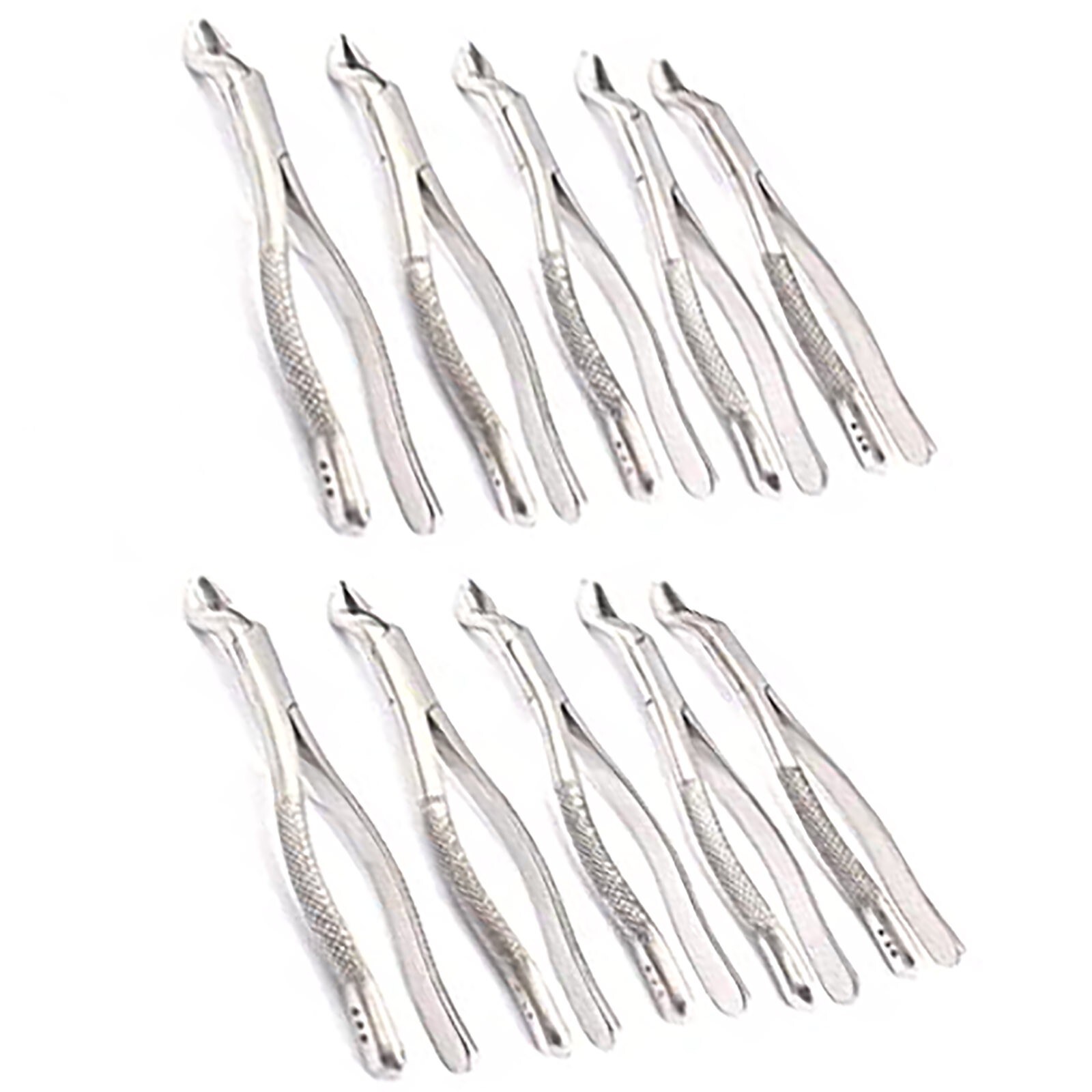 10 Pcs Tooth Extracting Forceps 53R, Extraction Forceps, Dental Hand ...