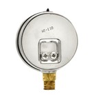 Liquid Filled Lower Mount Pressure Gauge with 2.5" Dial, 0-800PSI, 1/4 ...