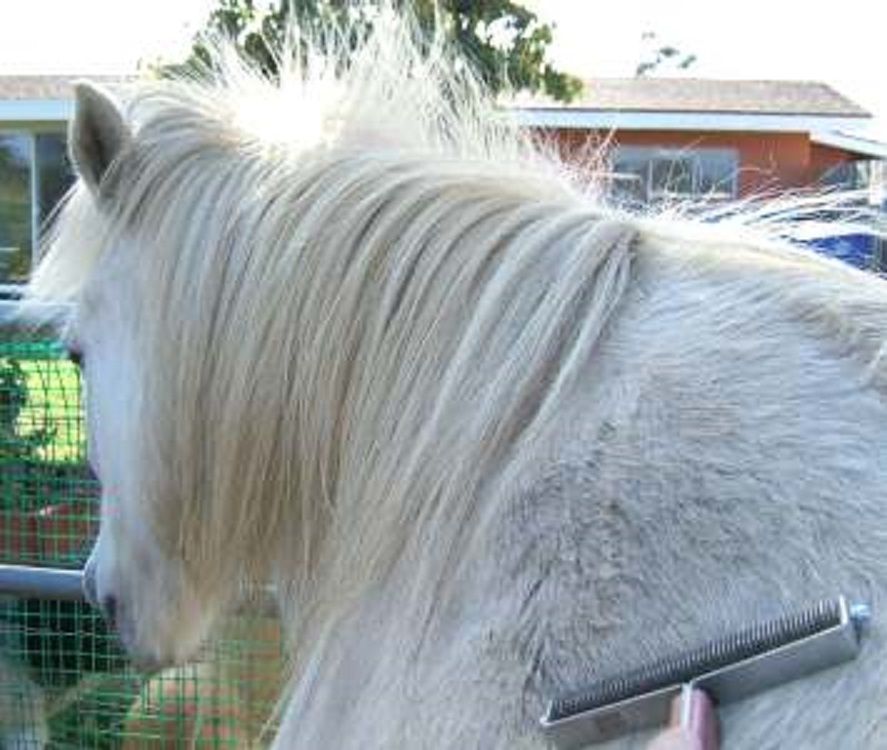 MARS COAT KING STRIPPER DOG Cat Undercoat Hair Coat Fur STRIPPING Tool ...