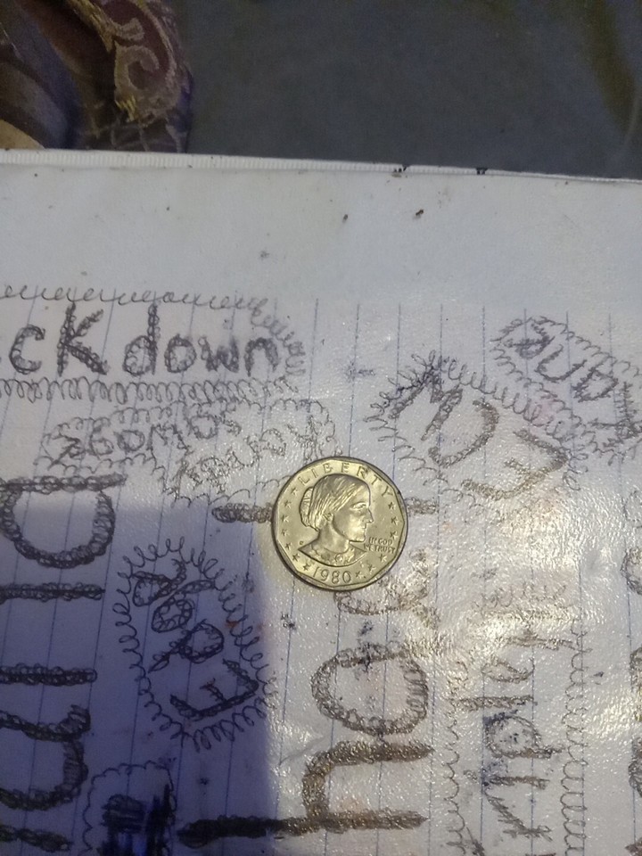 1980 D Susan B Anthony Liberty *One Dollar Coin* Circulated Rare Wide ...