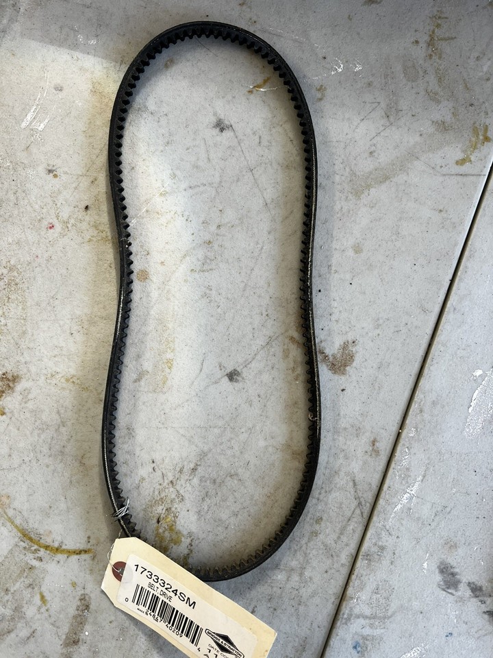 Genuine Briggs & Stratton 1733324SM DRIVE BELT for Snowblower | eBay