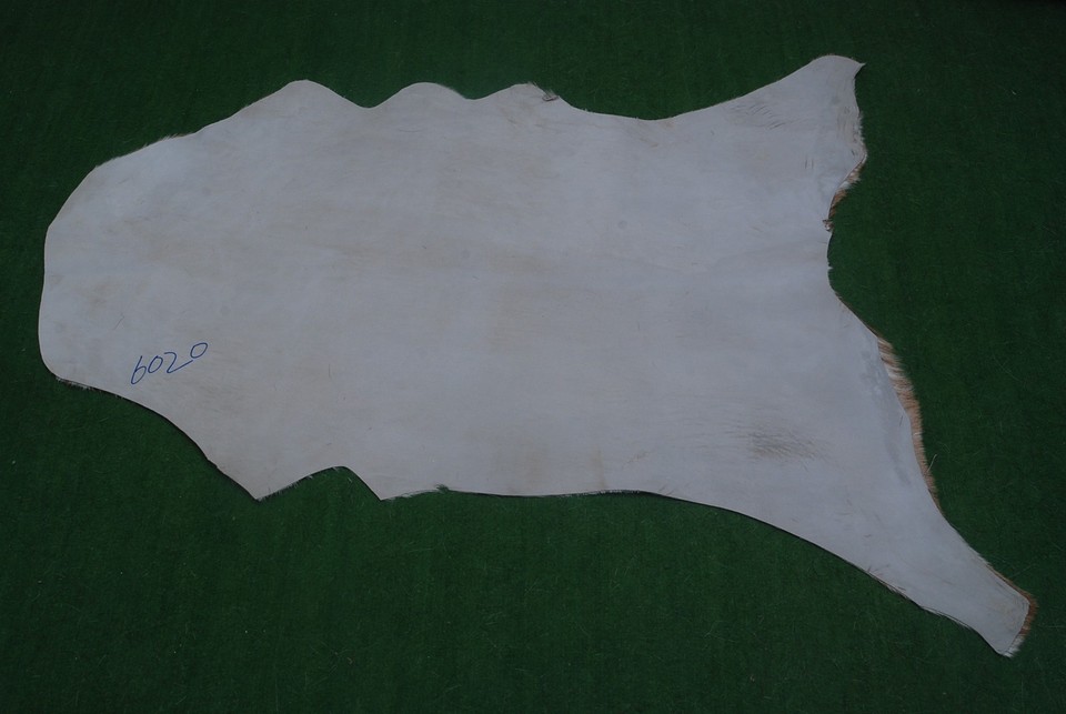 GOAT Western taxidermy Hide Rug Natural Pattern Fur Goat Hide Rode SA ...