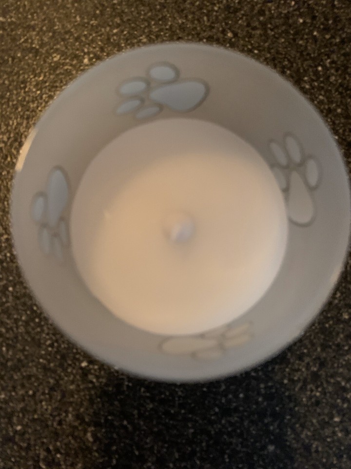 LED Lighted Puppy Dog Paw Print Glass Candle Battery Operated Unique ...
