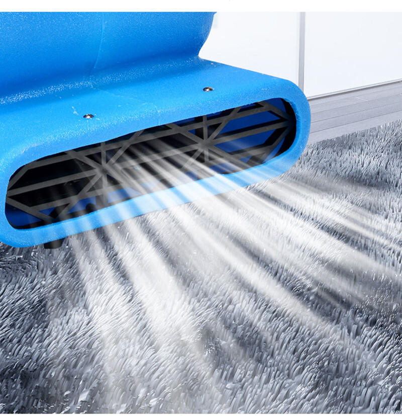 220V BF535 Electric Strong carpet cleaning drying machine Floor blower ...