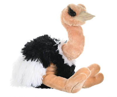 Cuddlekins Ostrich Plush Soft Toy 30cm Sitting Stuffed Animal by Wild ...
