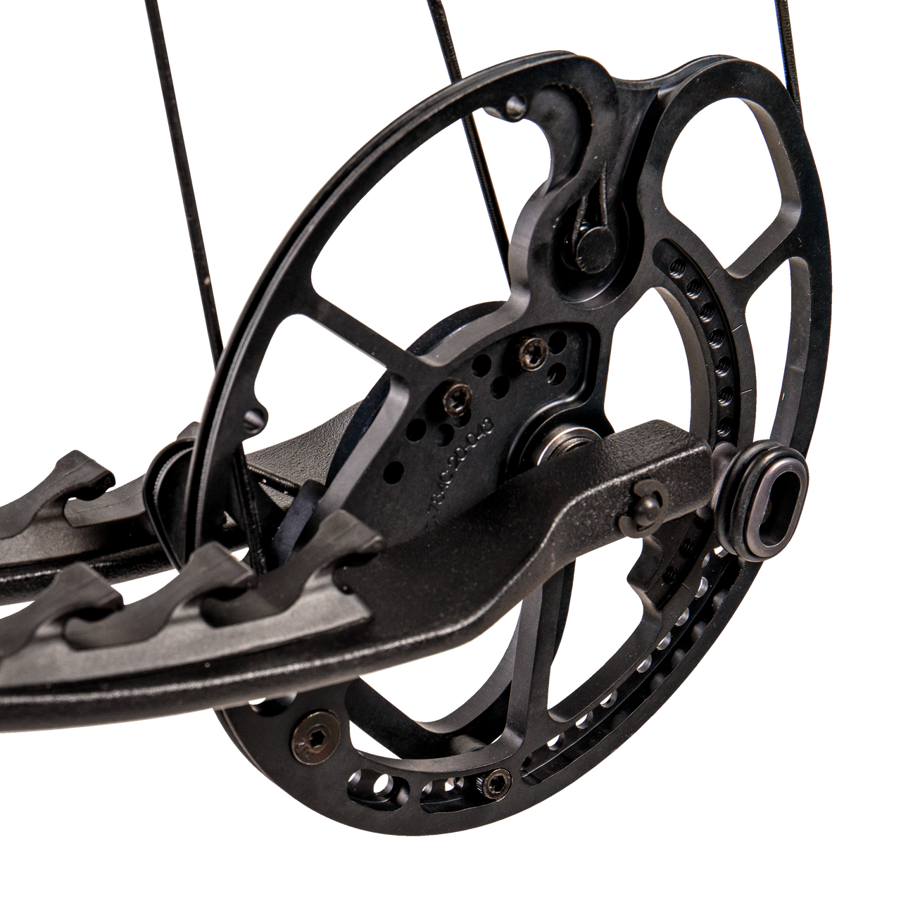 Bear Archery Whitetail Legend RTH 70# Bow Right Hand Shadow Black ...