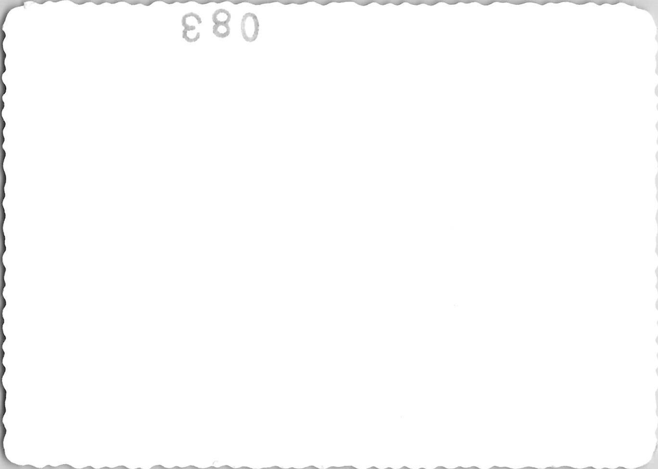 US Soldiers Military Rifle Gun Target Practice on Shooting Range ...