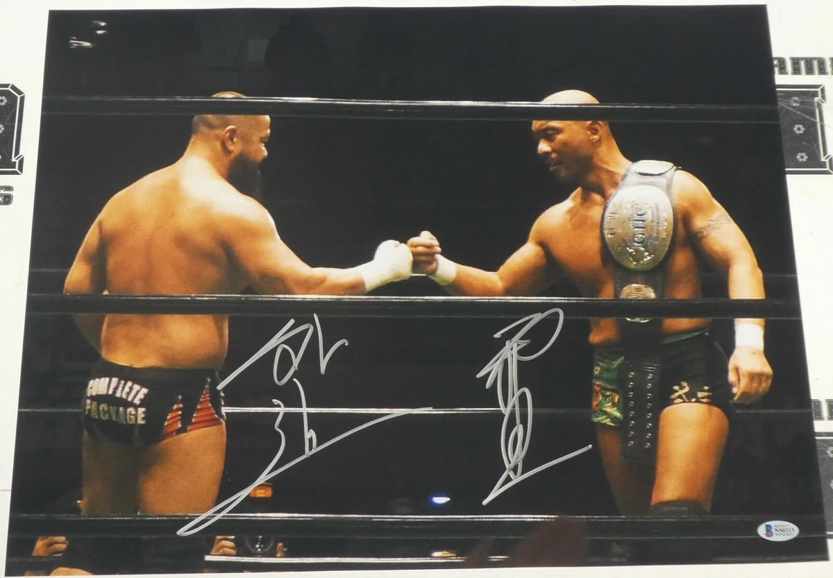 Gedo Wrestler Pro
