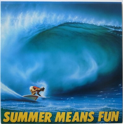 V.A.(BRUCE & TERRY, THE RIP CHORDS) / SUMMER MEANS FUN /CBS SONY JAPAN ...