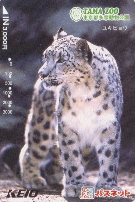 Carte JAPON - SERIE TAMA ZOO 5/6 - ANIMAL -SNOW LEOPARD - JAPAN KEIO ...