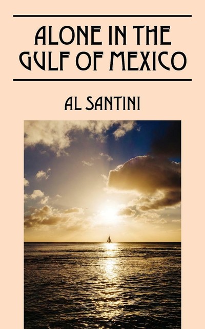 Alone In The Gulf of Mexico von Al Santini (2016, Taschenbuch) online ...