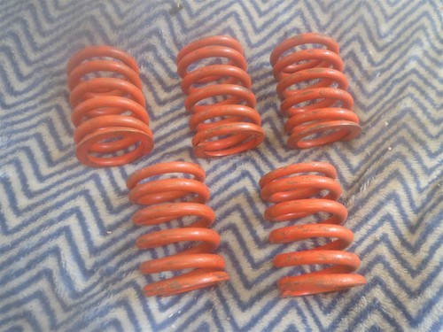 NOS 1969 - 1973 FORD MUSTANG TORINO MAVERICK 302 VALVE SPRINGS 5x C9OZ ...