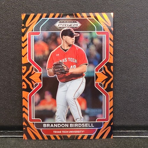 Brandon Birdsell 2022 Prizm Draft Picks Tiger Stripes Prizm 73/99 | eBay