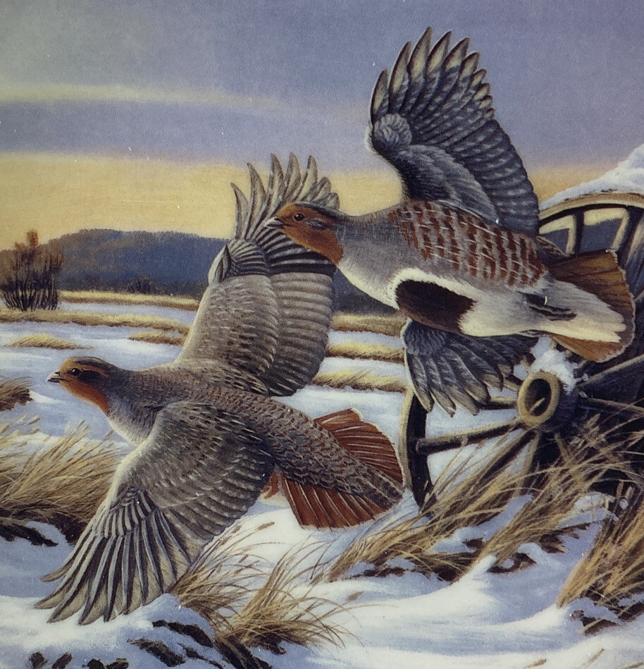 FIRST LIGHT Plate On Golden Wings #6 Wilhelm J. Goebel Partridge in ...