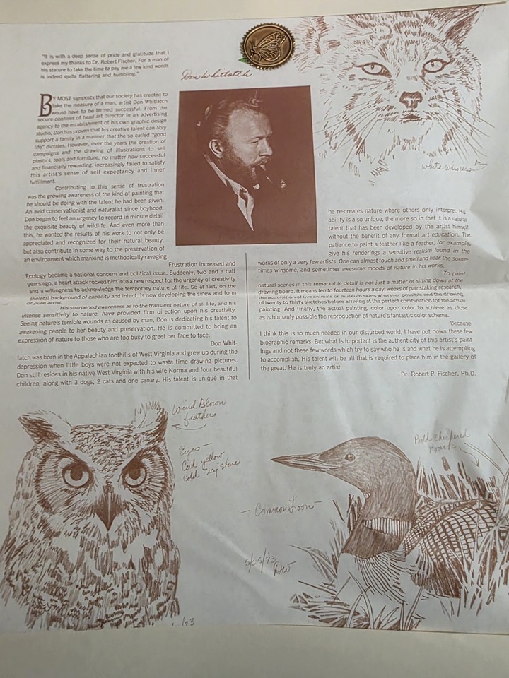 Donald G. Whitlatch Common Goldeneye Limited Edition Signed Framed ...