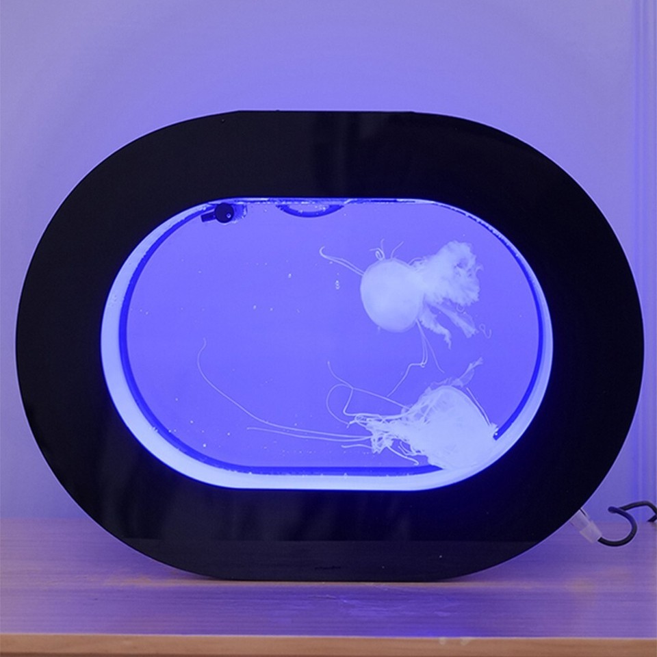 Oval Desktop Jellyfish Aquarium Tank Kit for Real Live Jellyfish Fish ...