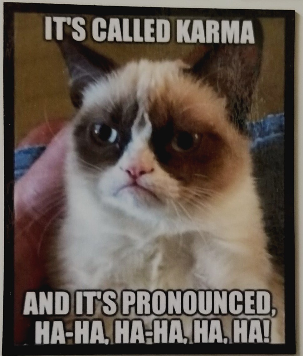 Grumpy Cat Wedding Meme