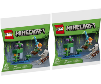LEGO Minecraft 30705 The Lush Cave Fight 2 Completed Set Sealed Polybag ...