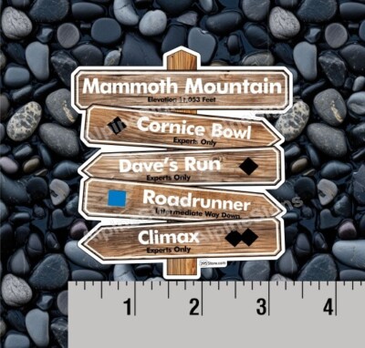 Mammoth Mountain sticker - Top of the Mountain | eBay