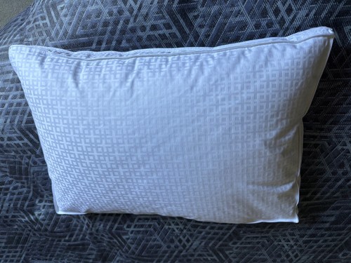 Hotel Collection European white goose down gusset Queen Pillow - SOFT ...