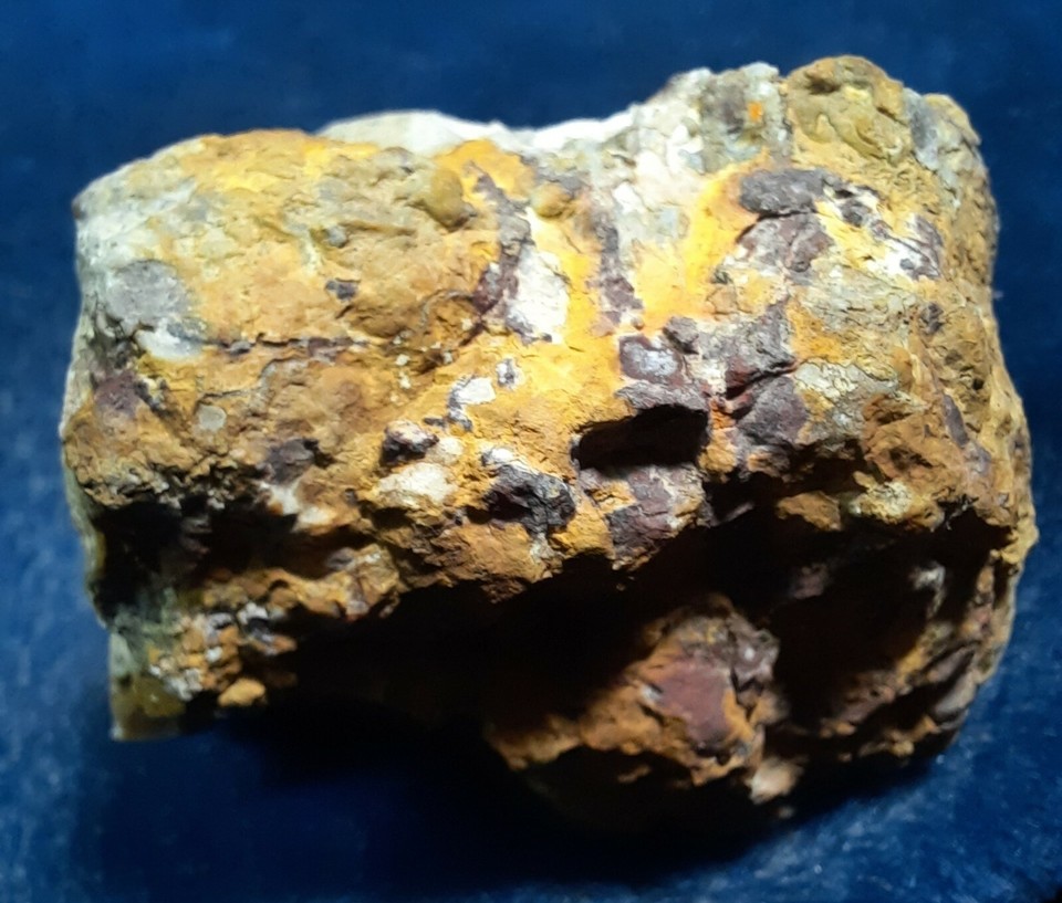 DINOSAUR COPROLITE - WYOMING GEM GRADE - 20+ LB BULK ROUGH MIX - LARGE ...