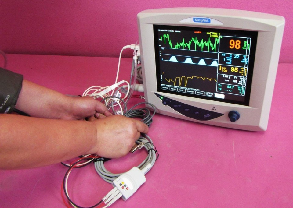 Surgivet Advisor V9203 Veterinary Vital Signs Monitor CO2-ECG-IBP-NIBP ...