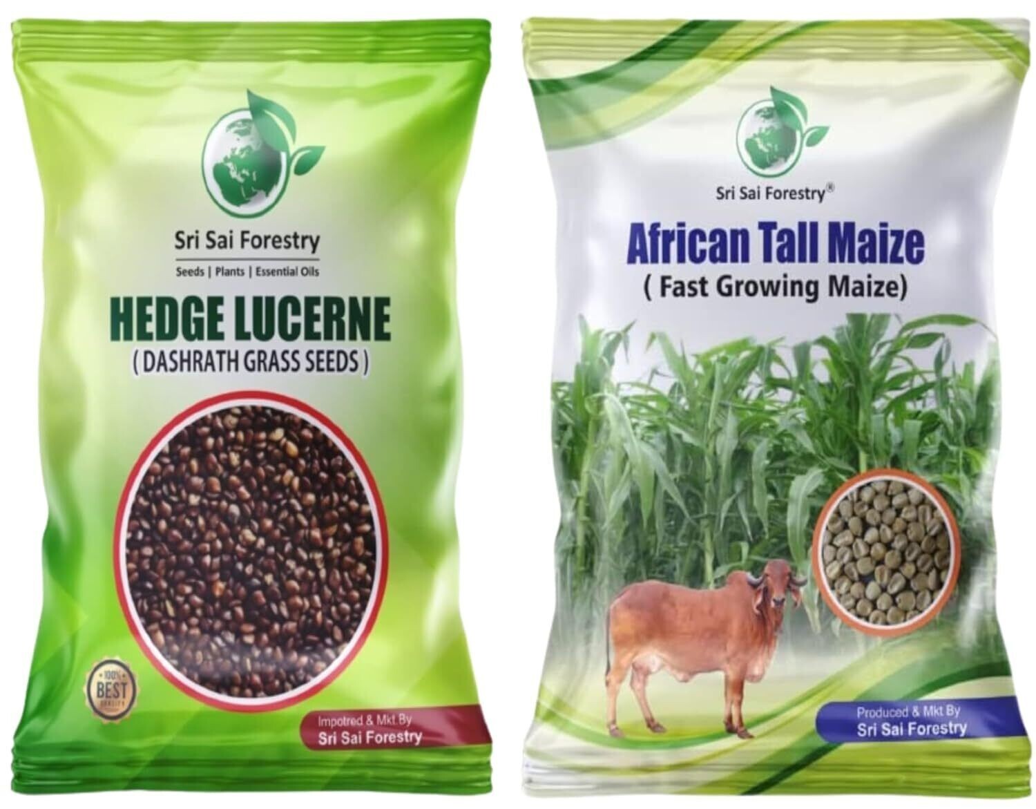 Hedge Lucerene Grass Seebs & Tall Maize Grass Seebs (Pack of 100g each ...