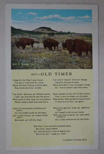 Vintage Western Postcard Bison Old Timer Poem by Audrey Souder Buck ...